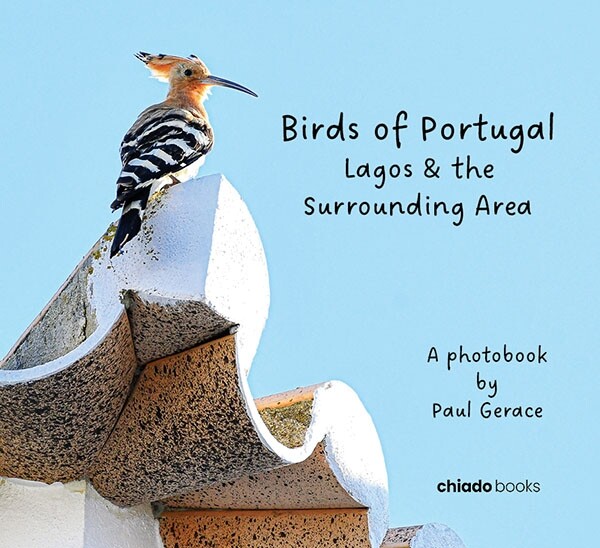 Birds of Portugal Lagos & the Surrounding Area